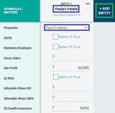 Modeling Different Business Structures - Schedule Cs, Partnerships, and ...